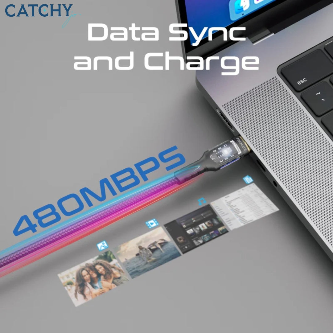 PROMATE LucidLine-CC200 2M USB-C Cable With LED Light (100W)