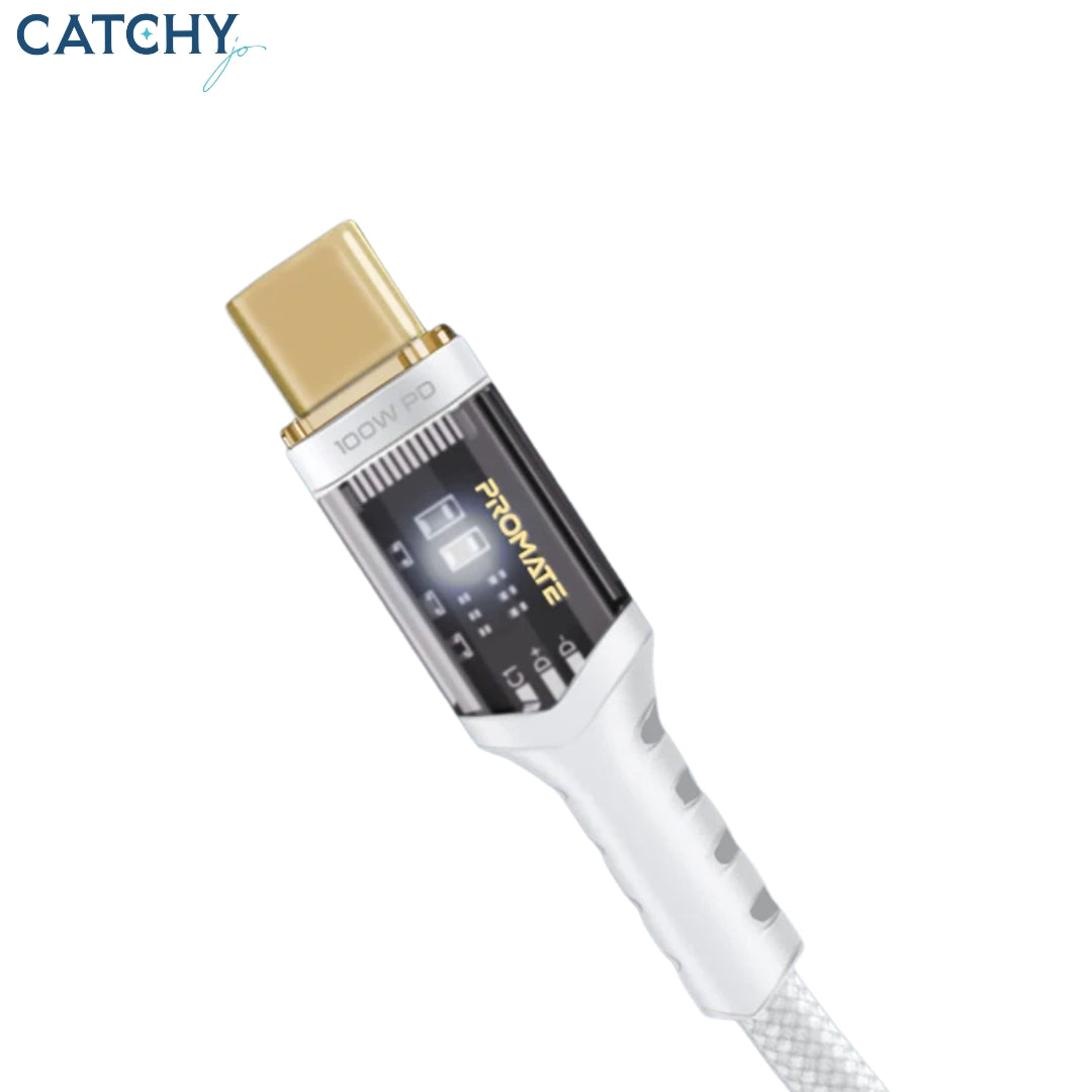 PROMATE LucidLine-CC200 2M USB-C Cable With LED Light (100W)